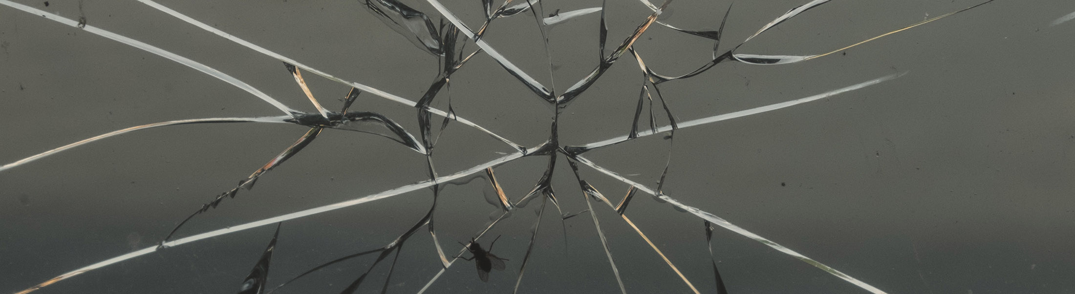 Shattered Glass Plate Topics In Photographic Preservation
