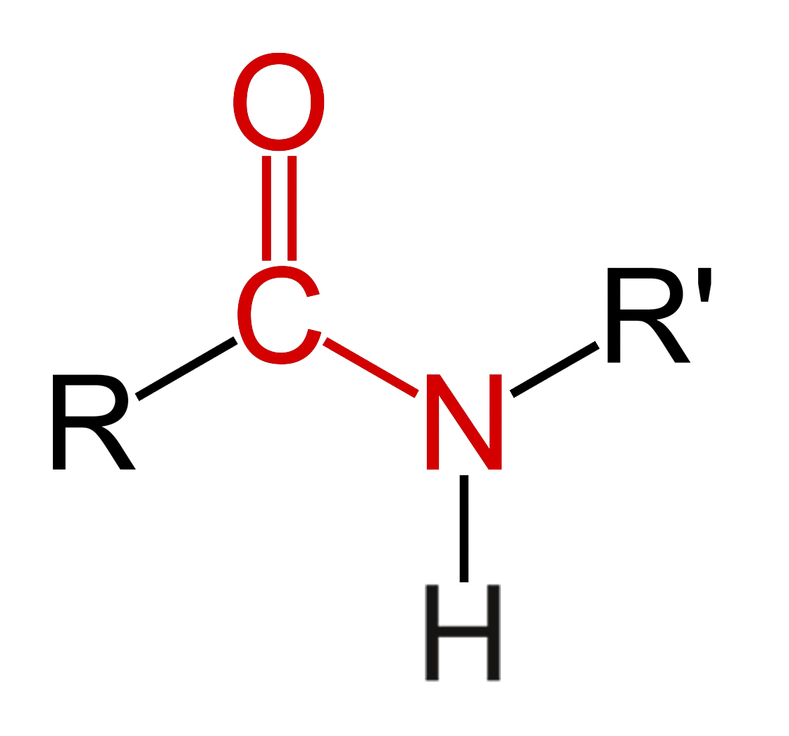 3D Printing with Nylon - Why & How? - Magigoo